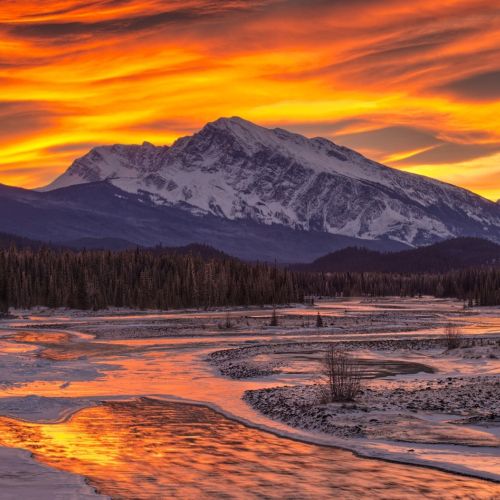 Tomasz Janiszta - presentation page